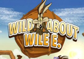 Wile Coyote And Road Runner GAME Cartoon GAMES